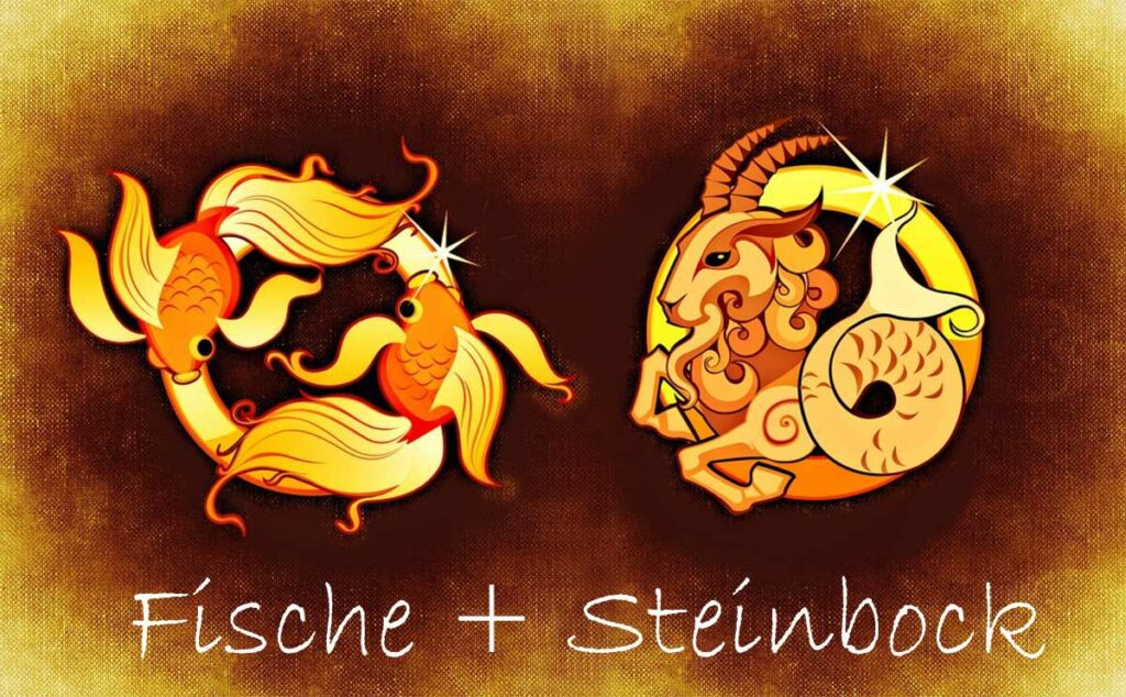 Fische und Steinbock Kompatibilität - Partnerhoroskop
